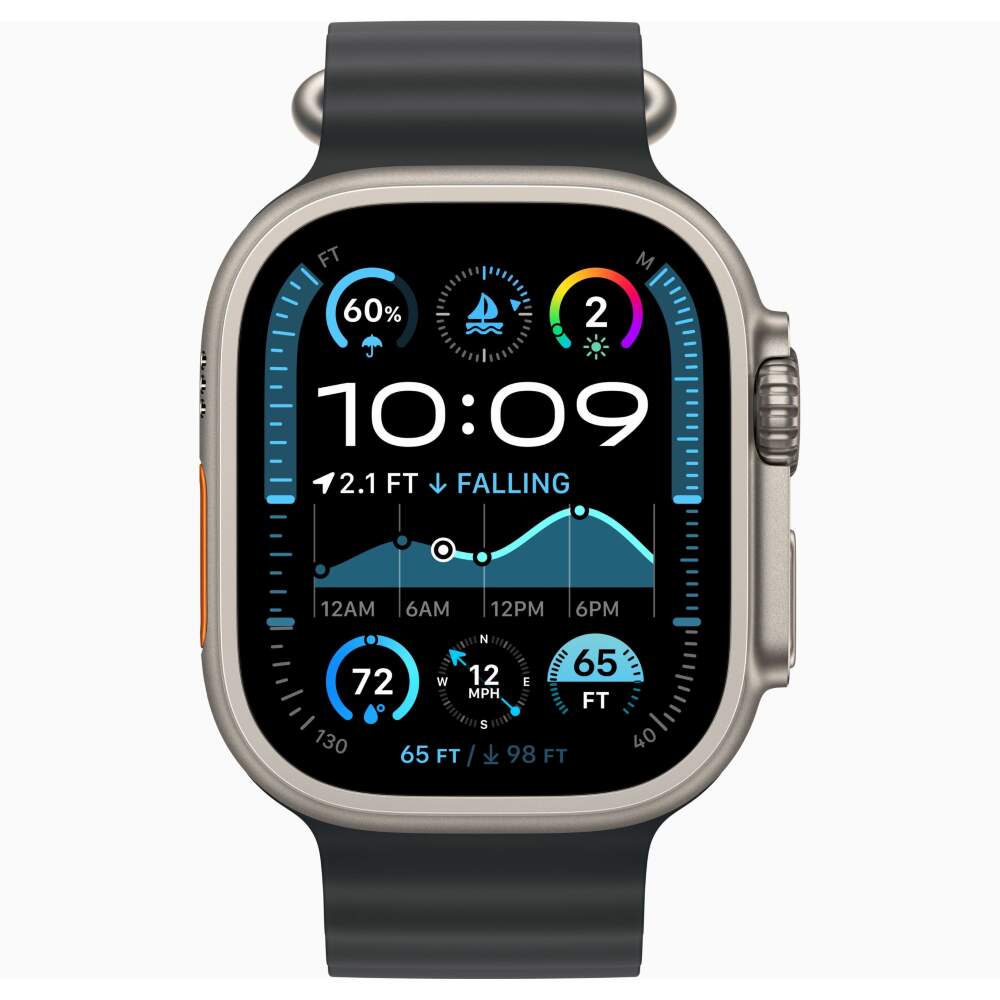 Titanium apple watch band store